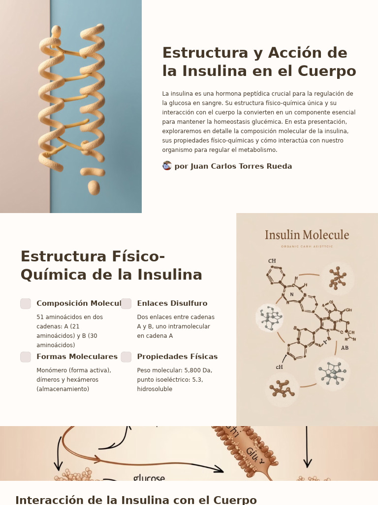 Estructura y Accion de La Insulina en El Cuerpo | PDF