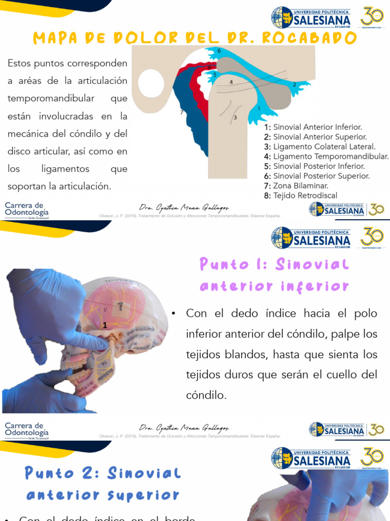 MAPA DE DOLOR DR ROCABADO | PDF | Sistema musculoesquelético