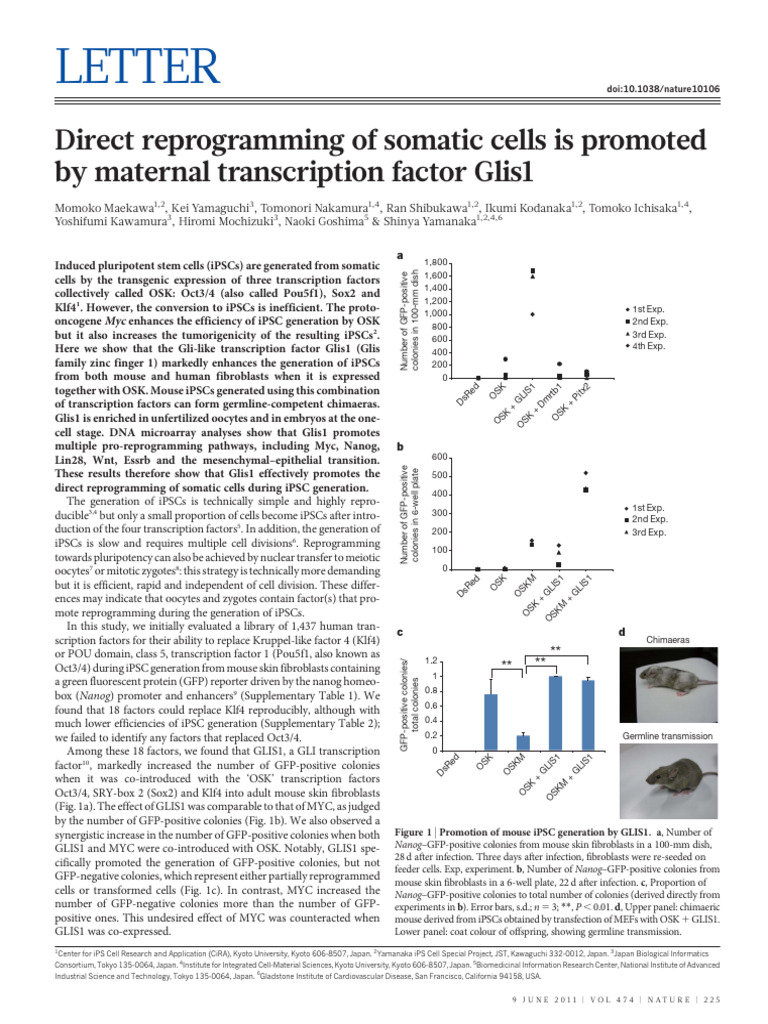 Direct Reprogramming of Somatic Cells Is Promoted Este | PDF | Cell ...