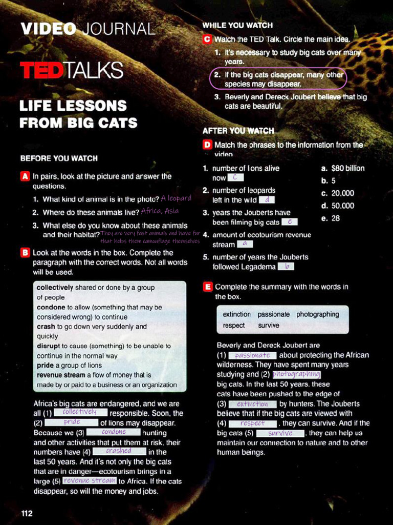 World English Level2 Ed3 VideoJournal Unit8 | PDF