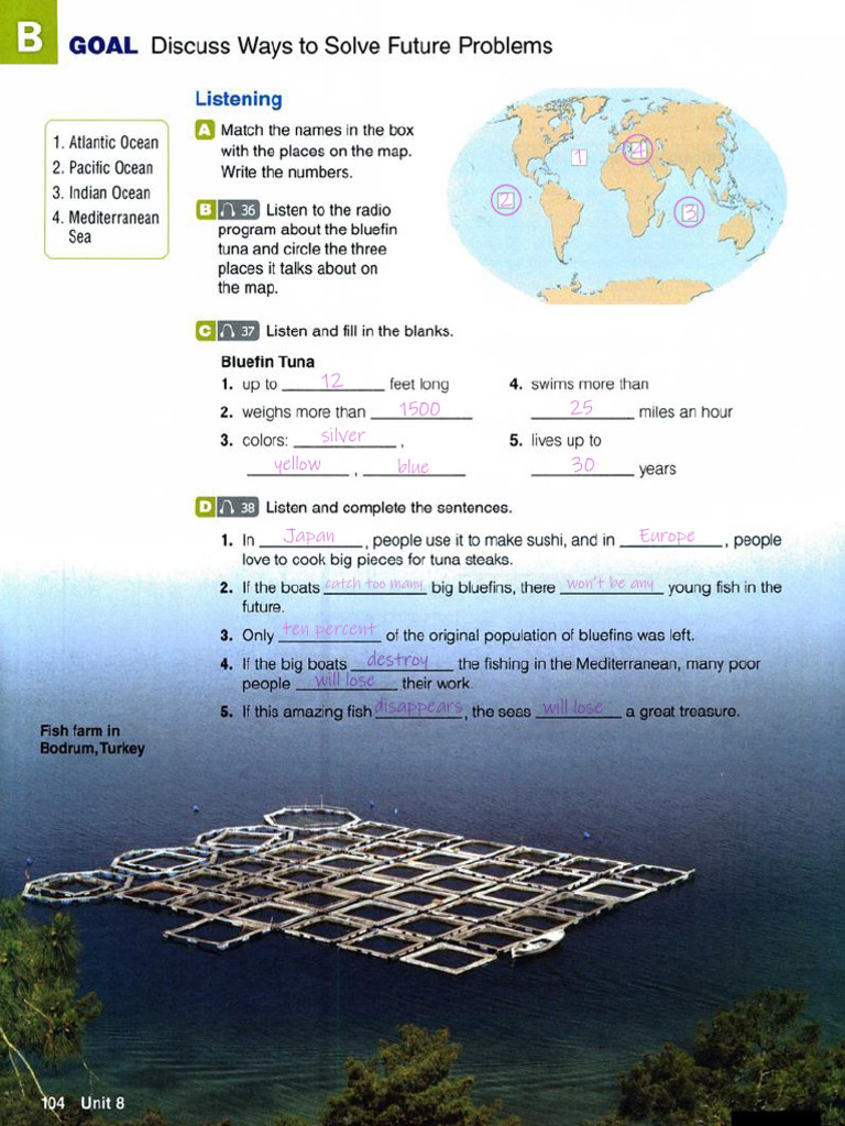 World English Level2 Ed3 Lessonb Unit8 | PDF