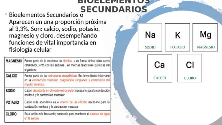 Bioelementos Secundarios y Sus Funciones | PDF