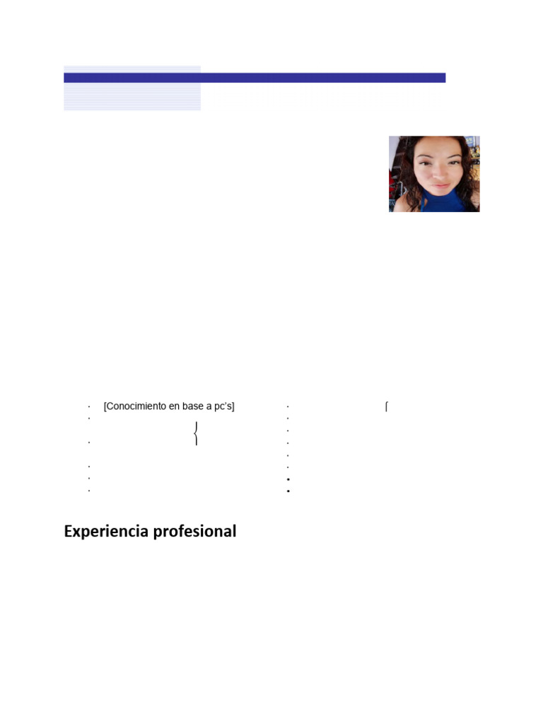 Experiencia Profesional | PDF | Informática