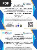 (OPS) Curso Virtual Sobre El Correcto Llenado Del Certificado de Defunción - ILSE DANIELA FLORES ...