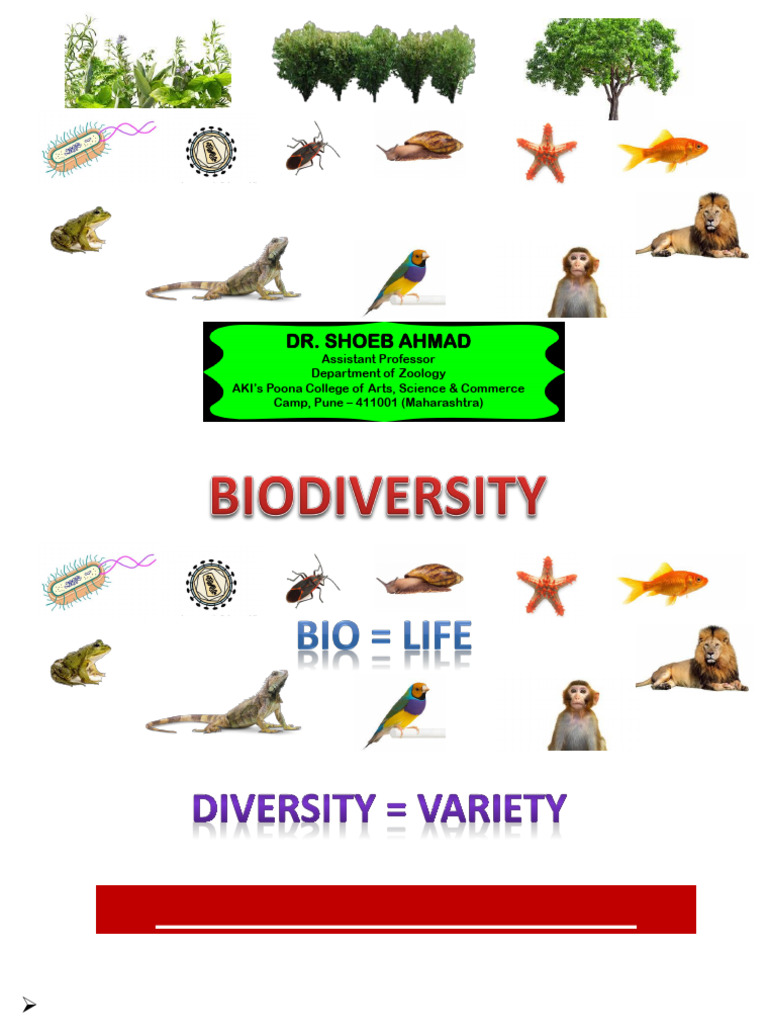 Unit. 4.Biodiversity EVS Lecture | PDF | Conservation Biology ...