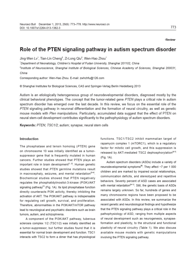Role of the PTEN Signaling Pathway in Autism Spectrum Disorder | PDF ...