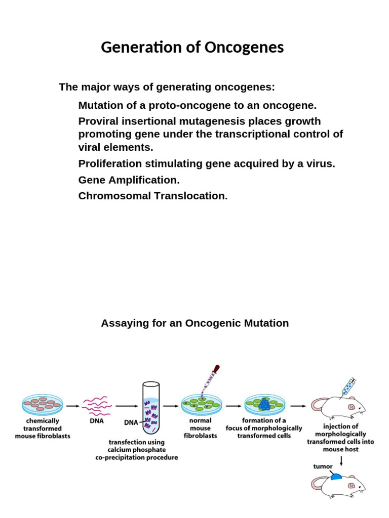 Generation of Oncogenes | PDF