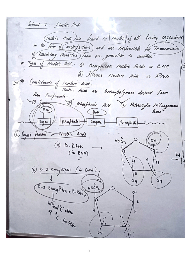 Biomolecules.. NUCLEIC ACIDS | PDF