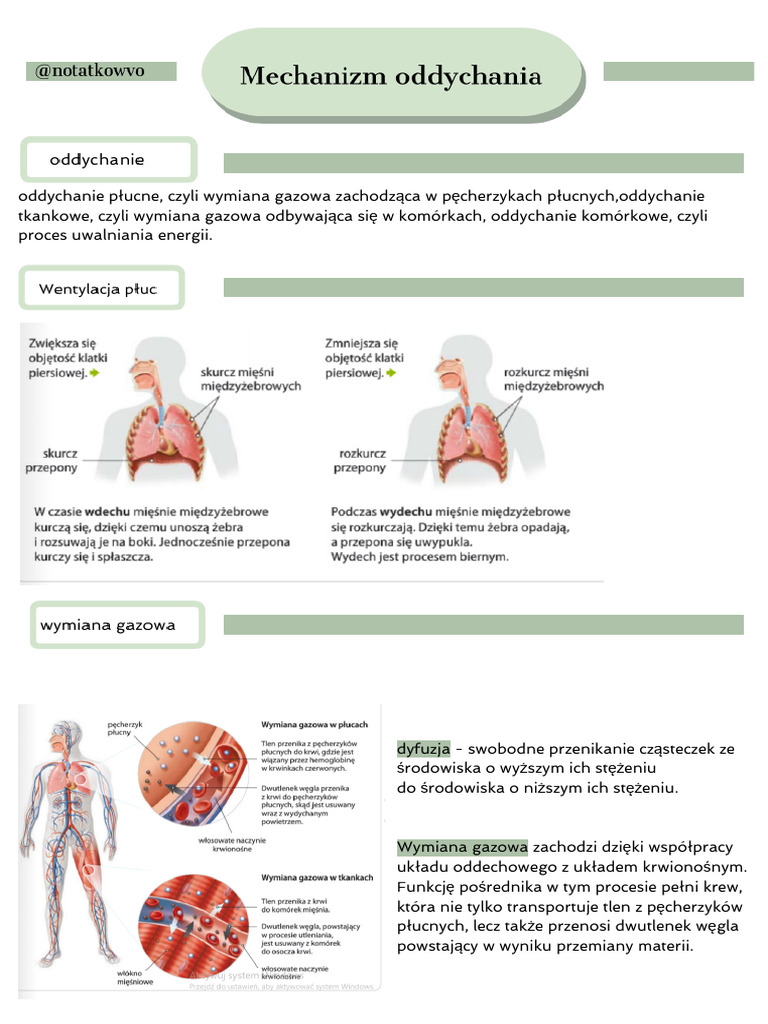 Mechanizm Oddychania | PDF