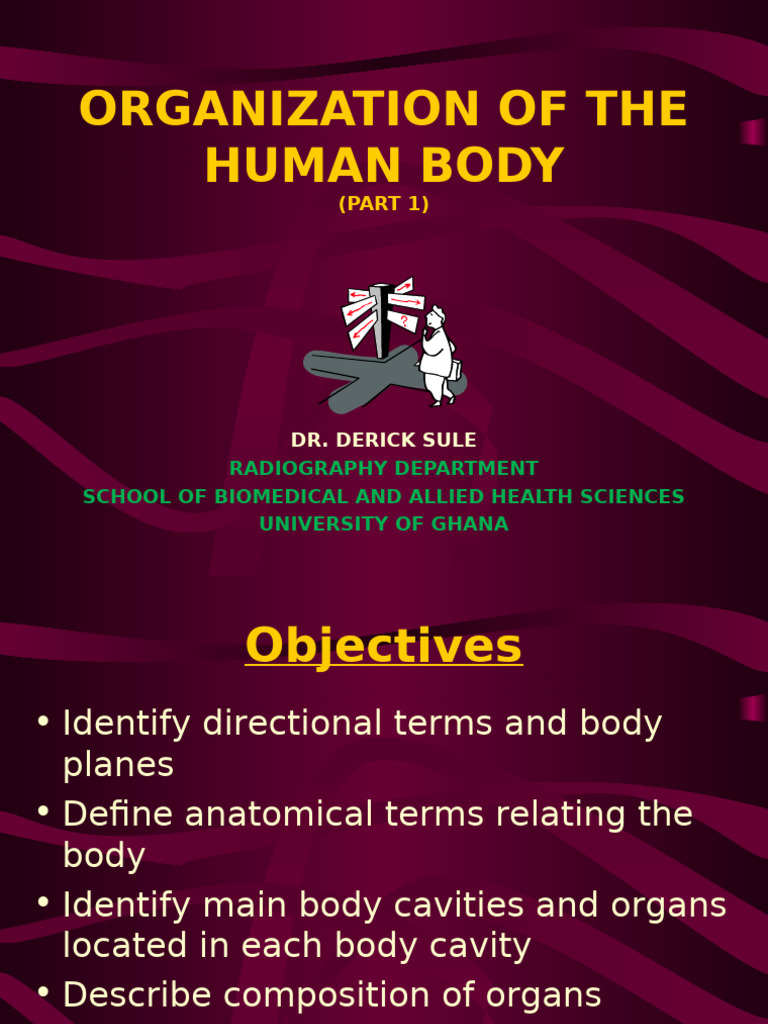 Human Body Organization Overview | PDF | Abdomen | Anatomical Terms Of ...