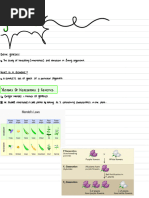 Genetics of Harry Potter Traits | PDF | Dominance (Genetics) | Allele