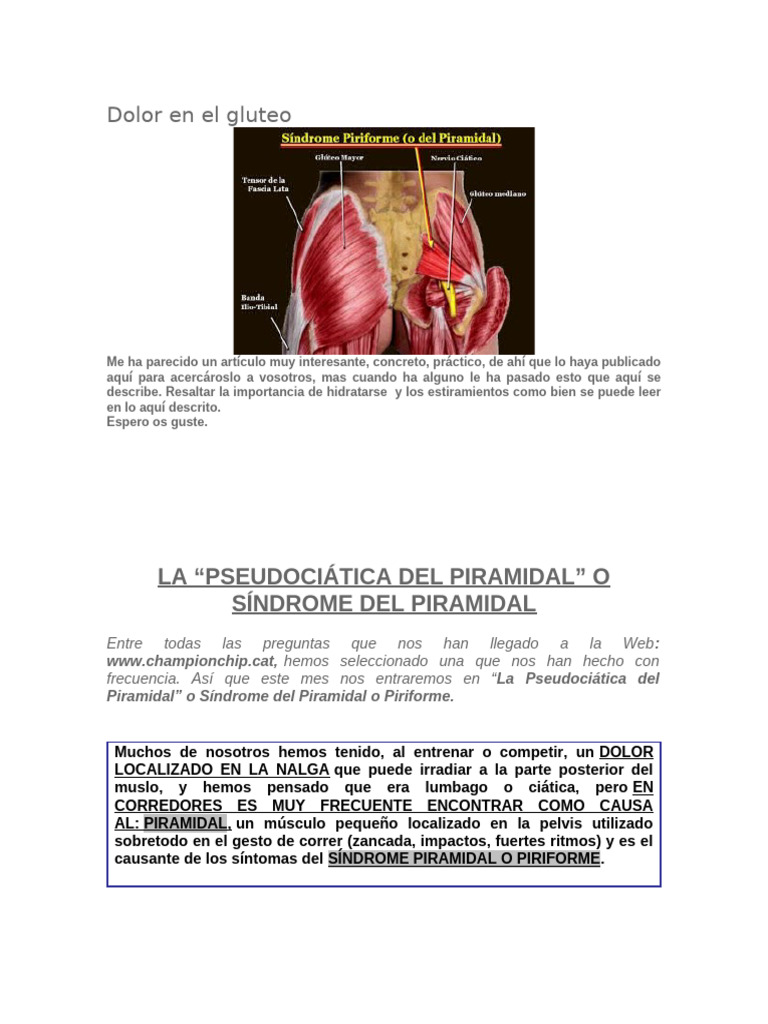 Dolor en El Gluteo o Síndrome Piriforme | PDF | Nalgas | Anatomía humana