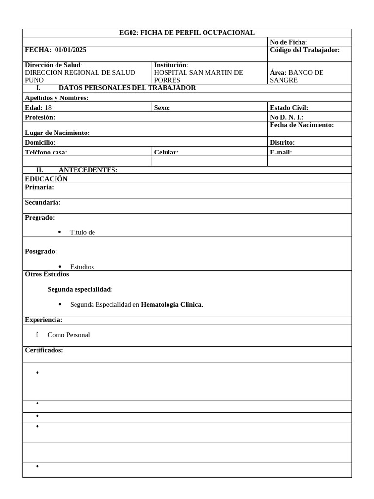 FICHA PERFIL OCUPACIONAL 2025 Modelo | PDF