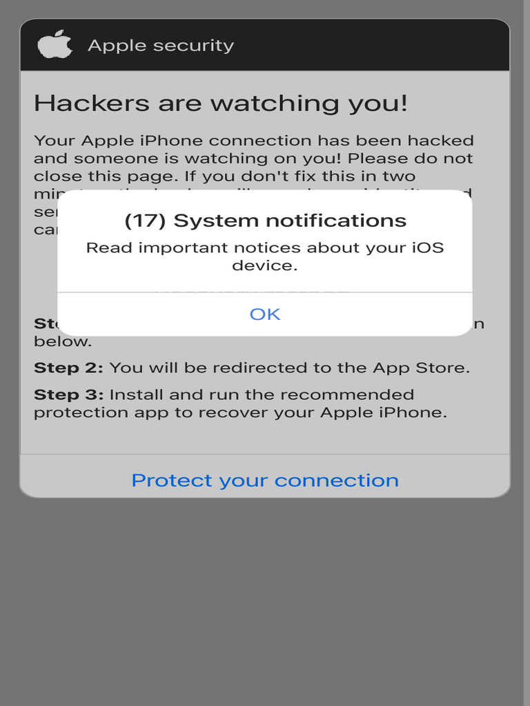 System Notifications | PDF