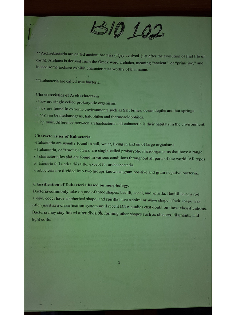 Bio 102 Bacteriaa | PDF