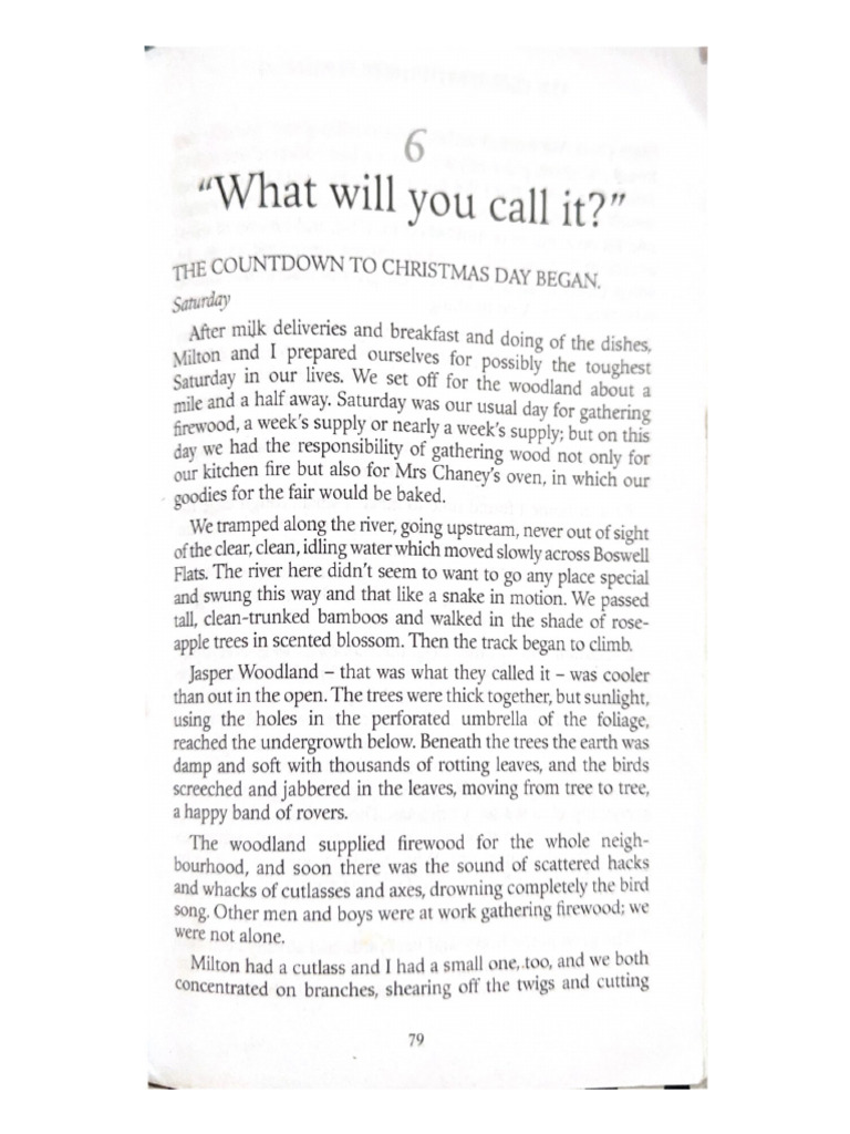 Chapter 6 - What Will You Call It | PDF