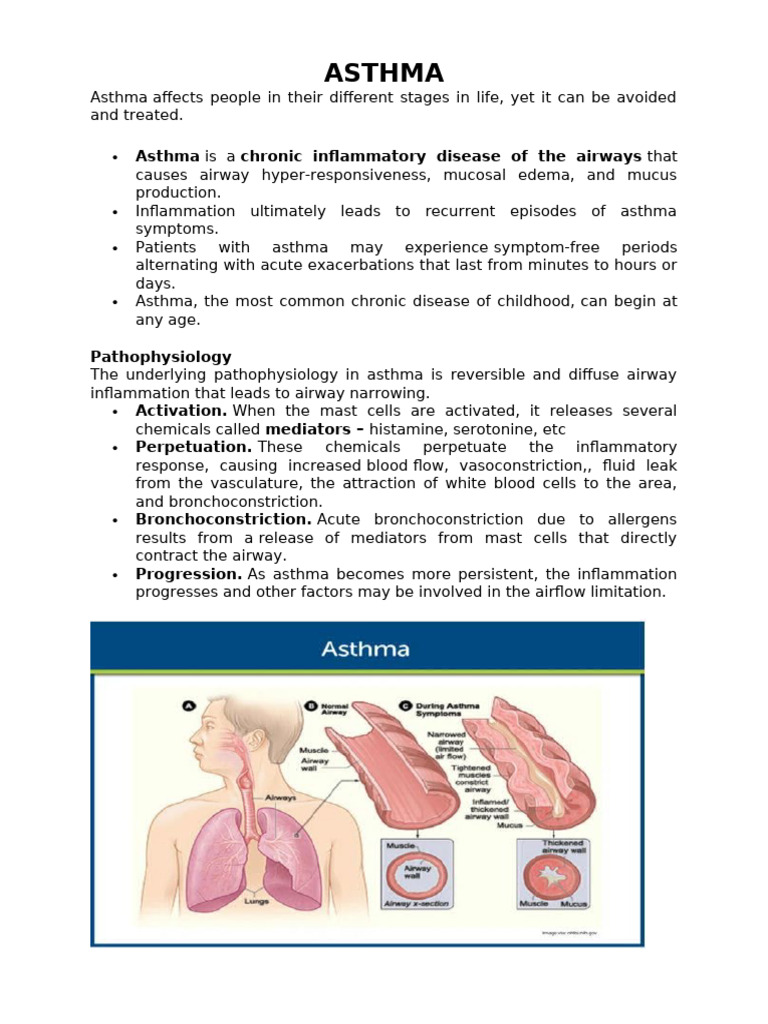 Asthma | PDF | Asthma | Cough