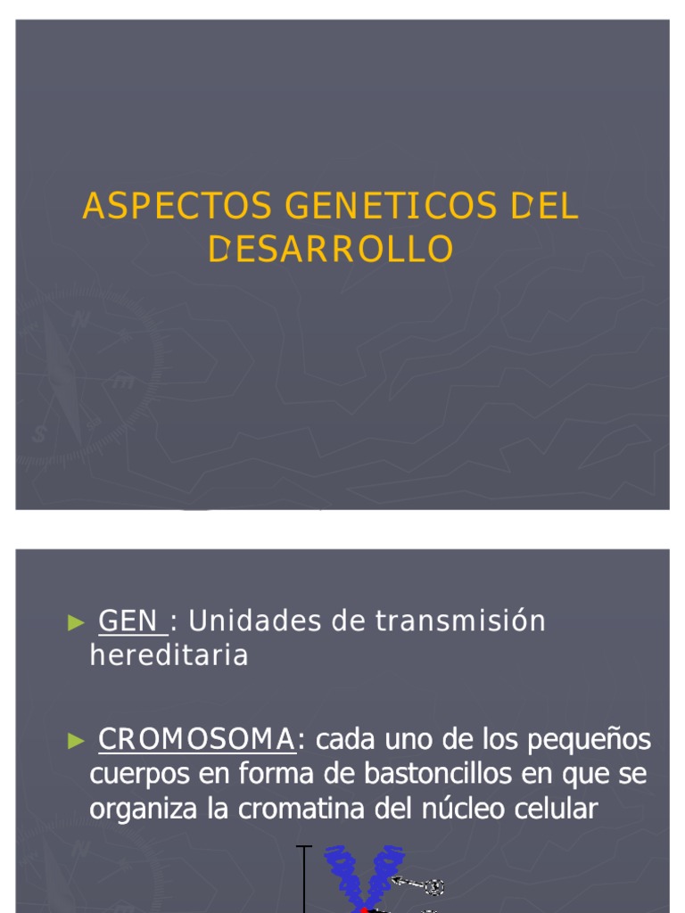 Aspectos Geneticos Del Desarrollo | PDF