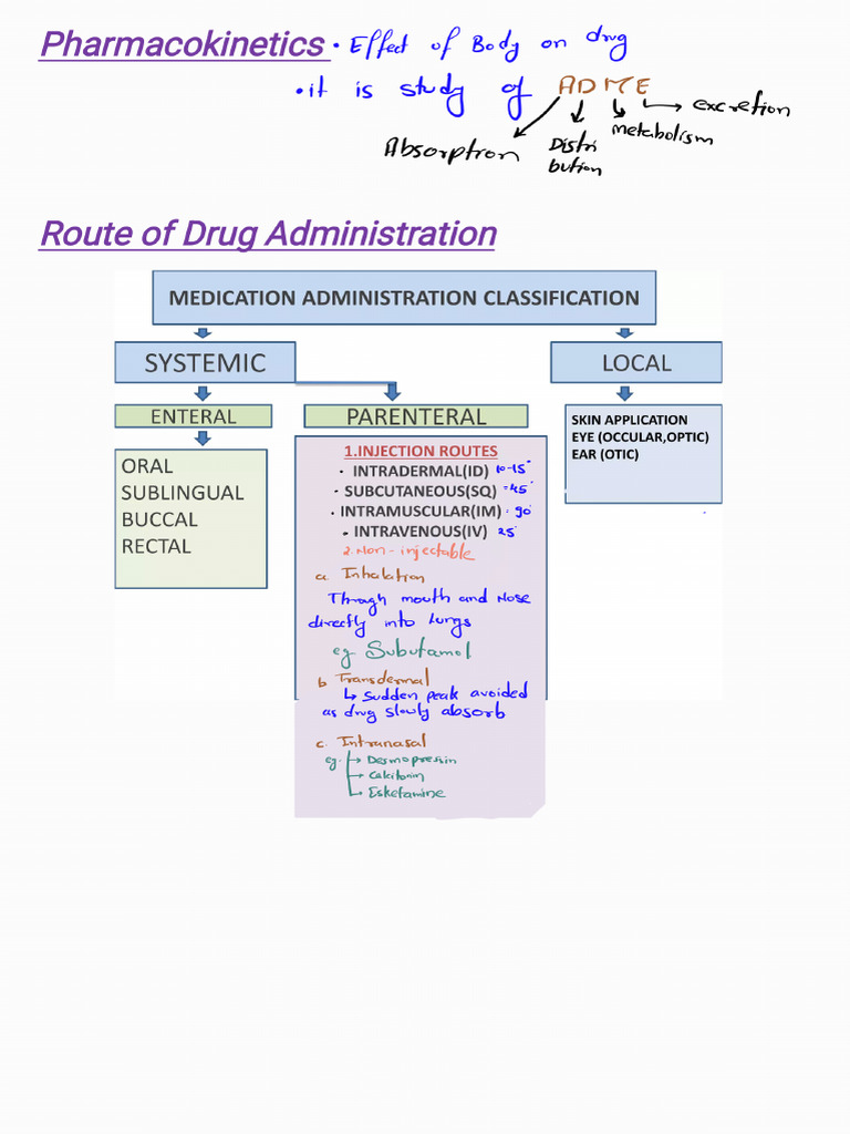 Pharmo kinetics_241113_102650 | PDF