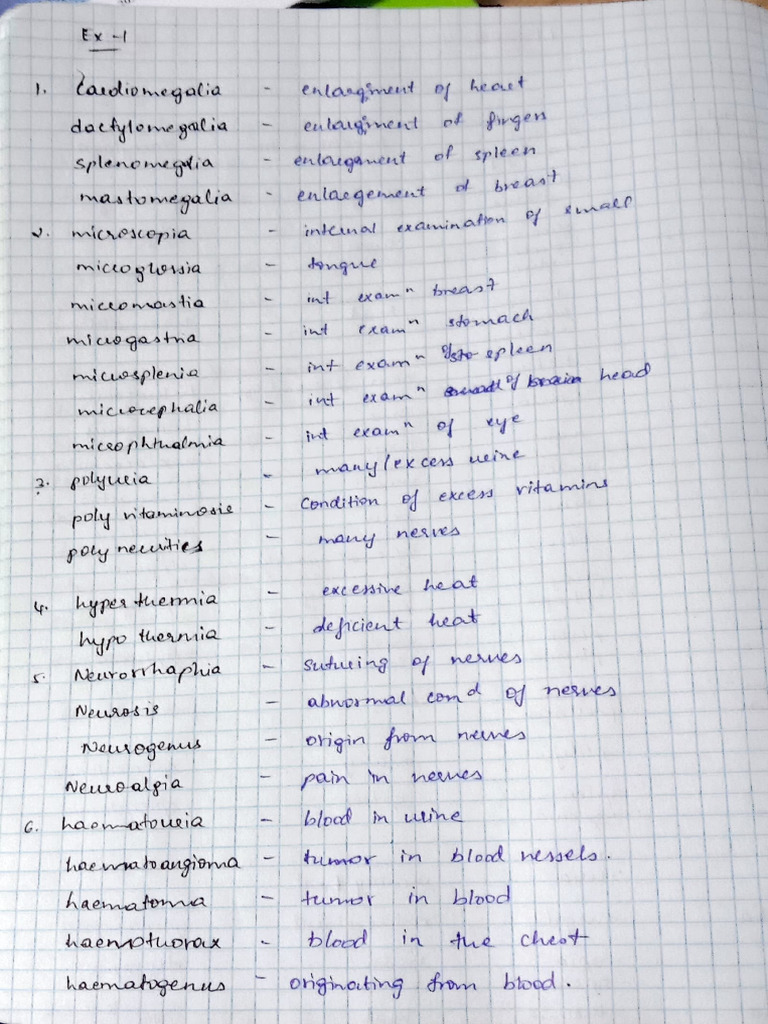 Latin Lesson 4 | PDF