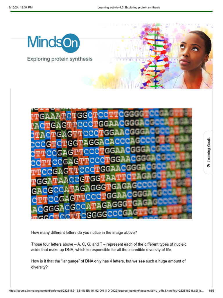 Learning Activity 4.3 - Exploring Protein Synthesis | PDF | Translation ...