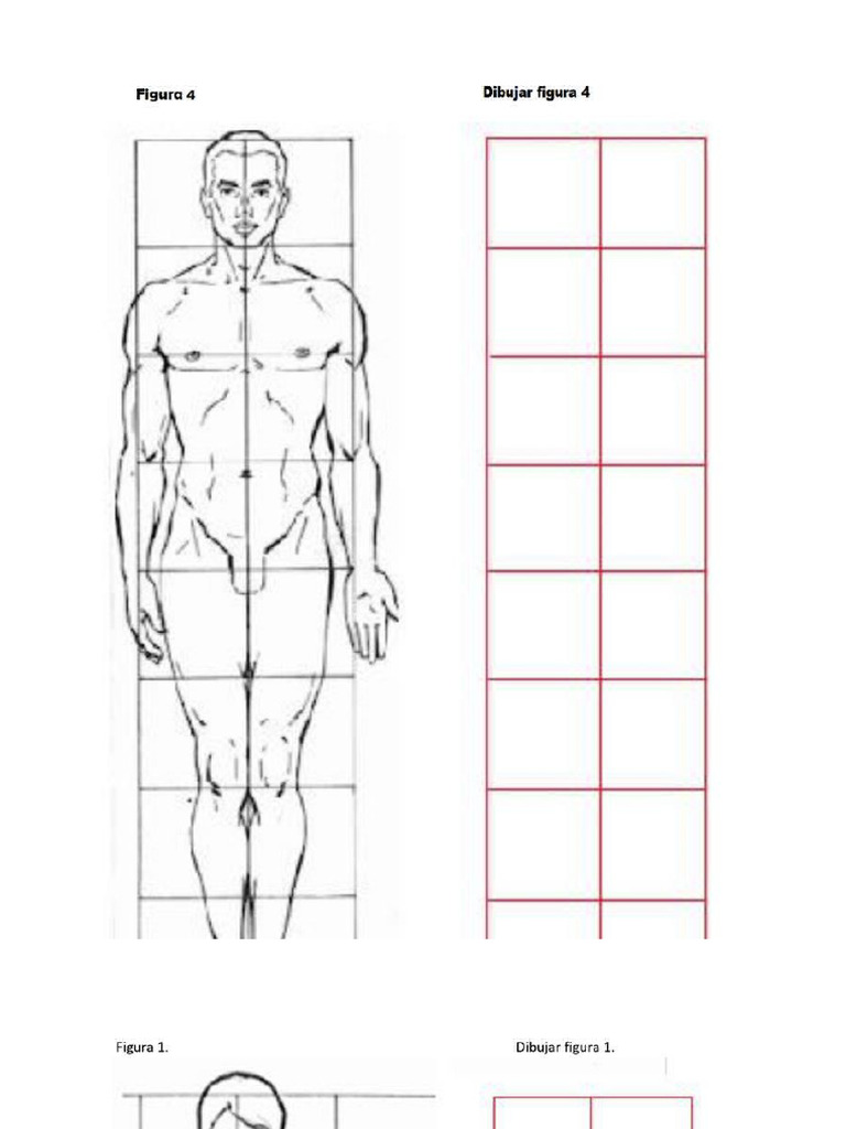 Proporciones De La Figura Humana Pdf