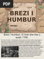 Pavarsia e Kosoves | PDF