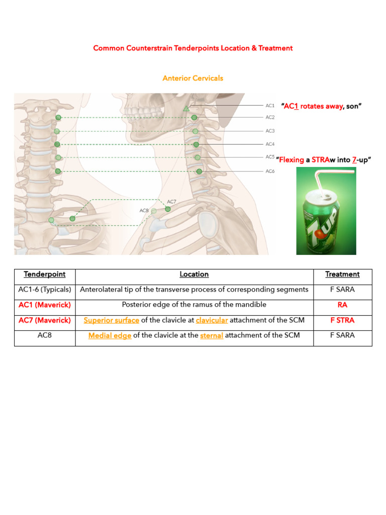Common Counterstrain Tenderpoints Location & Treatment | PDF | Vertebra ...