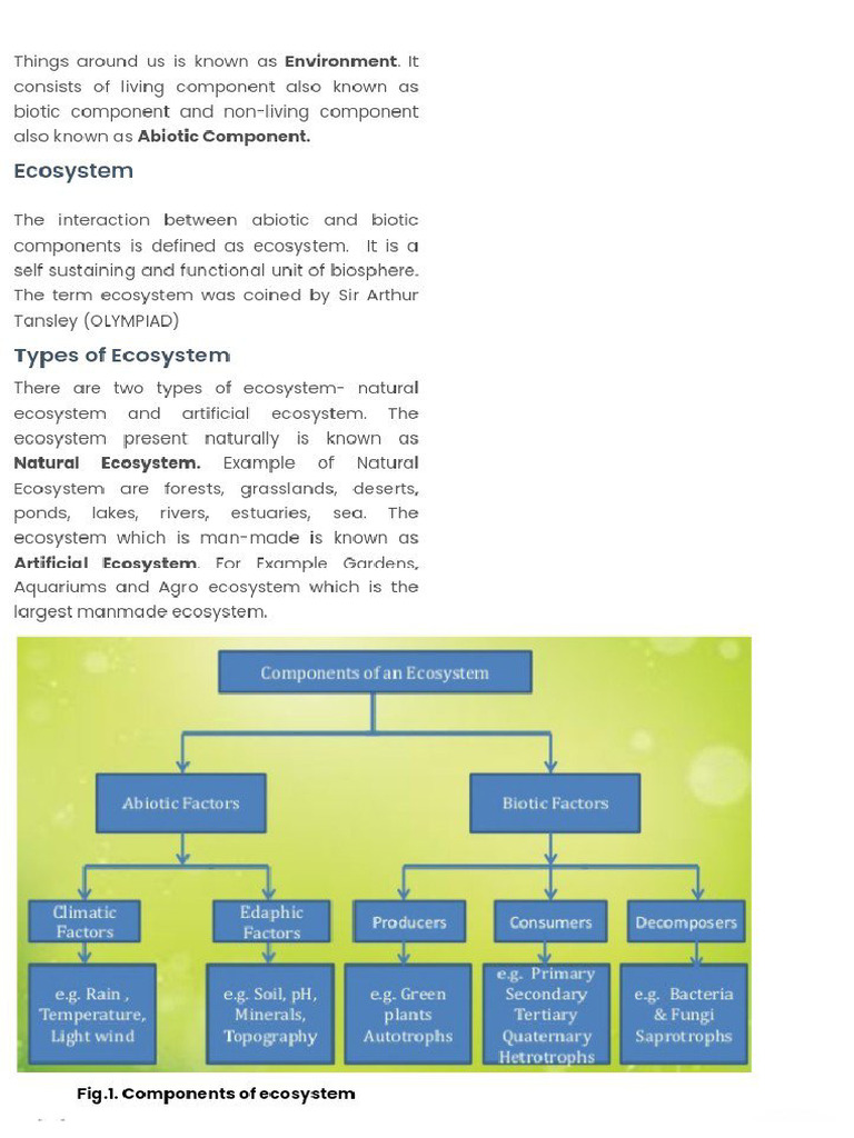 Our Environment Notes | PDF