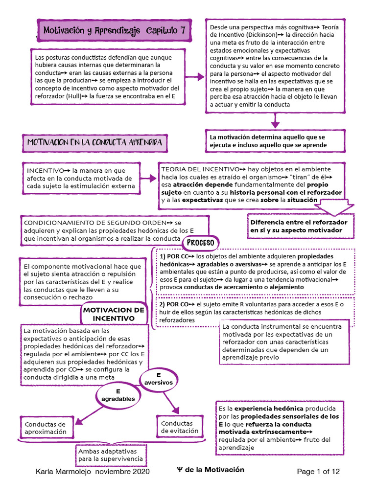Motivación y Teoría del Incentivo | PDF | Motivacional | Motivación
