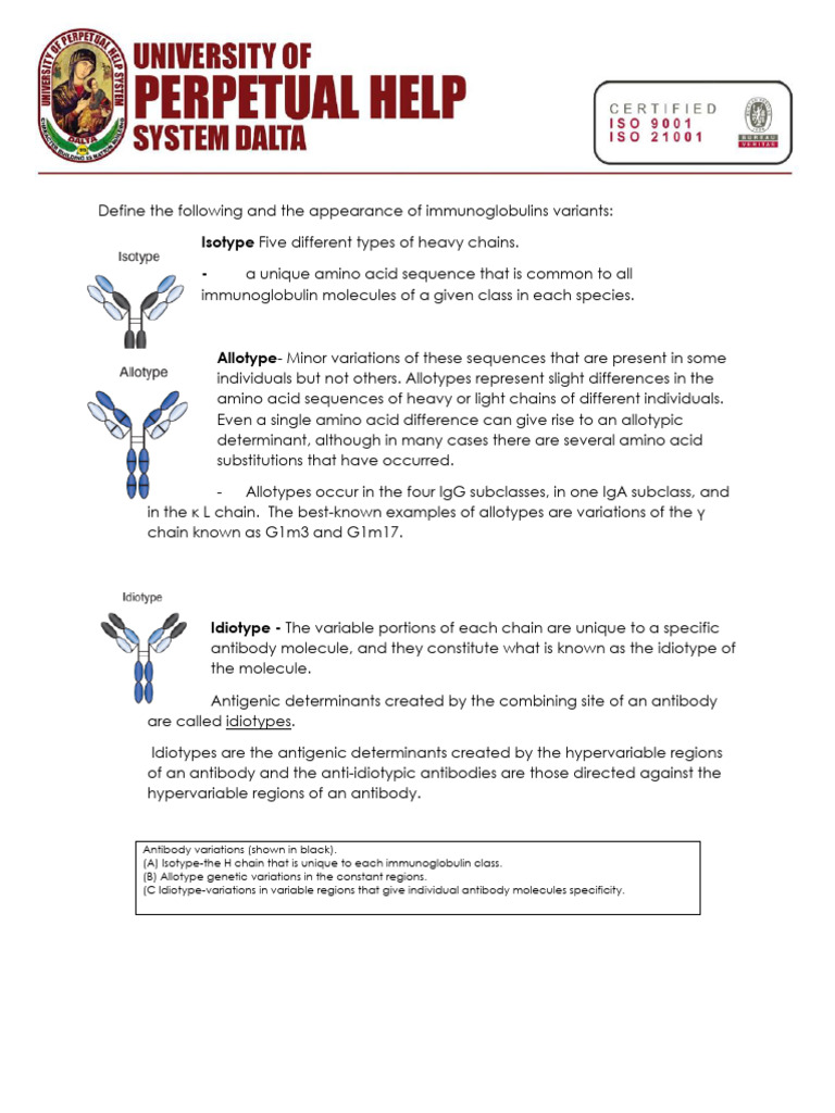 Balcueva Immunosero Assignment2 | PDF | Antibody | Immunology