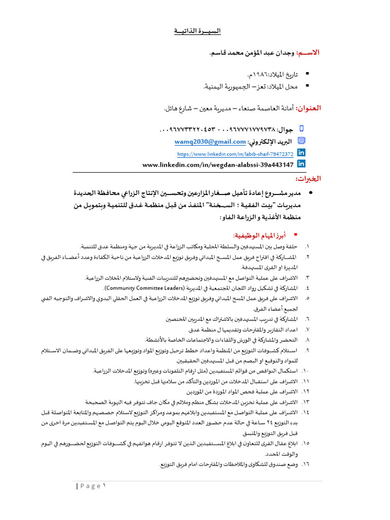Wegdan Alabssi - CV-1 | PDF