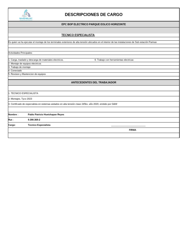 Descriptor de Cargo | PDF