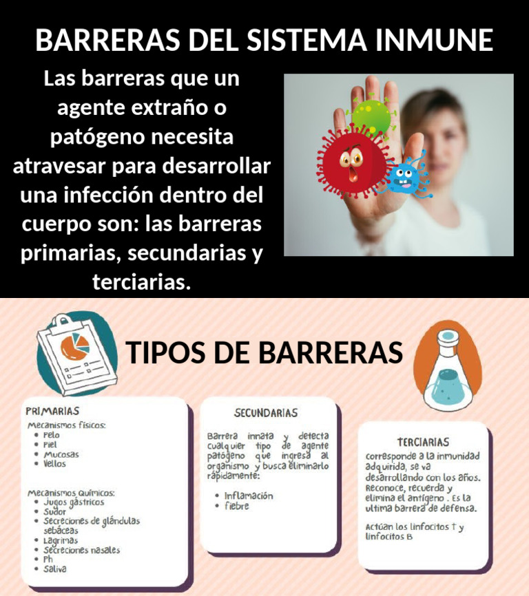 Anatomía Barreras del sistema inmune | PDF