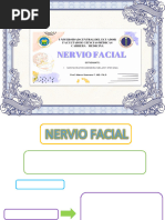 Ubicación y función del ganglio geniculado | PDF | Anatomia animal ...
