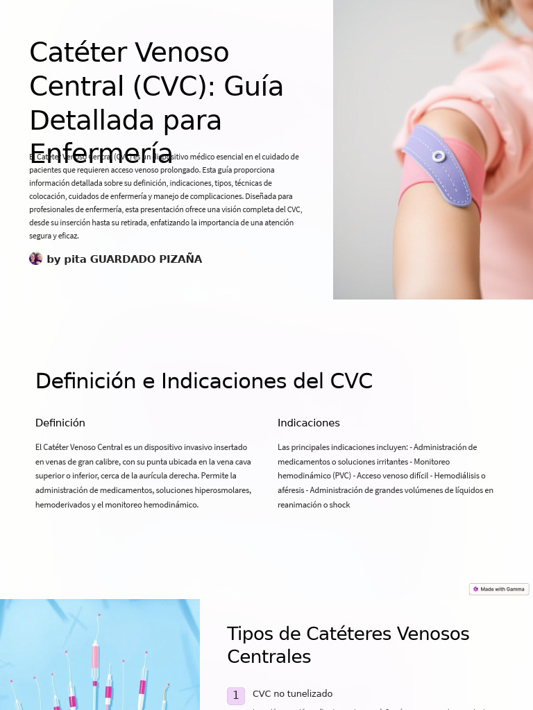 Guía Completa sobre Catéter Venoso Central | PDF | Hemodiálisis ...