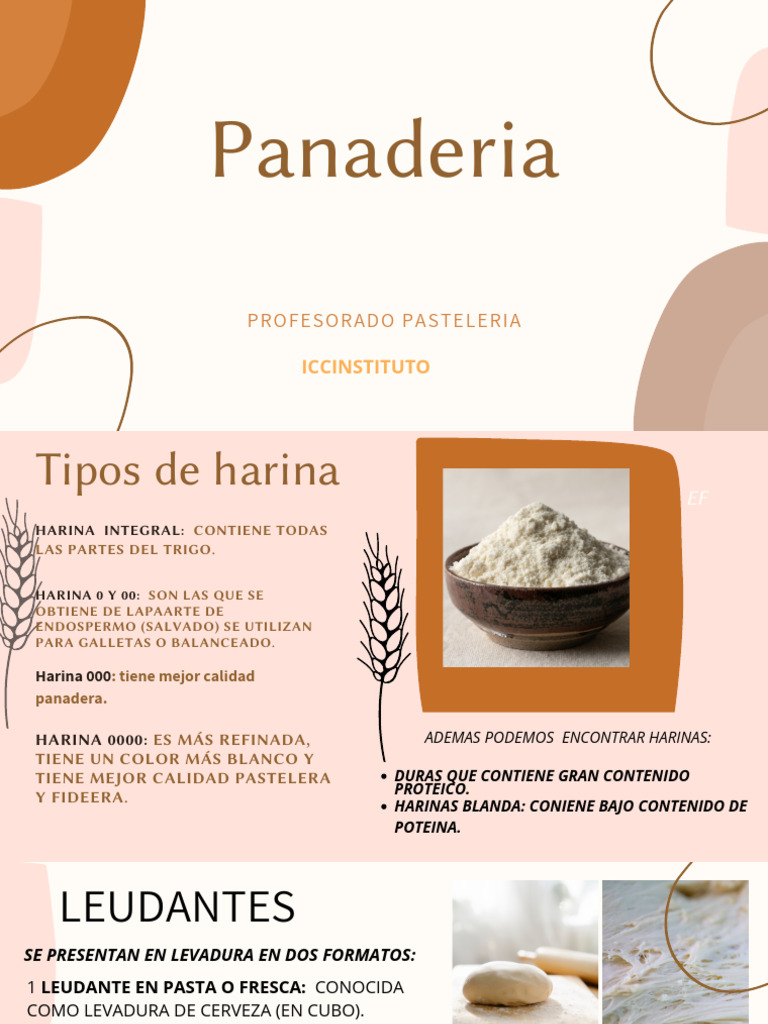 Apunte-Panaderia-Profesorado-Modulo-1 (1) | PDF | Panes | Harina