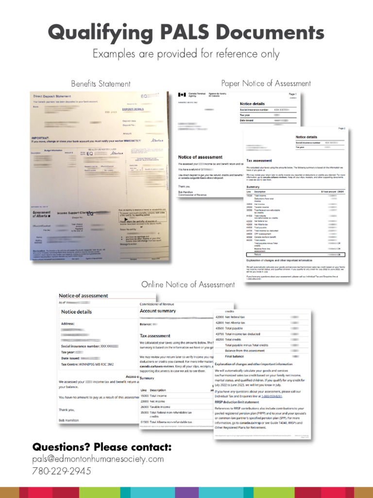 PALS-Example-Documents-2023 | PDF