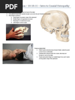Sacral OMM Guide | PDF | Anatomical Terms Of Motion | Human Anatomy