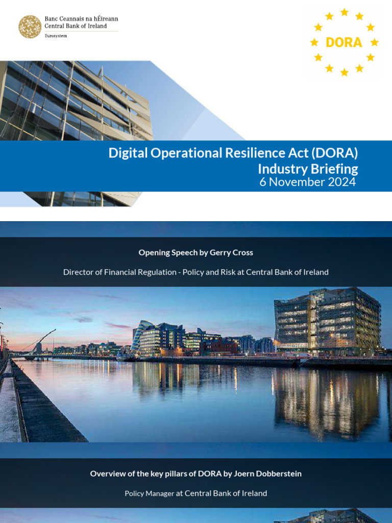 DORA - Central Bank | PDF | Risk Management | Vulnerability (Computing)