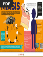 Miasis Cutánea: Diagnóstico y Tratamiento | PDF | Especialidades ...