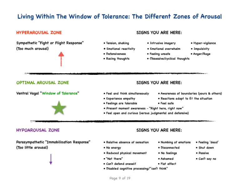 Window of Tolerance | PDF