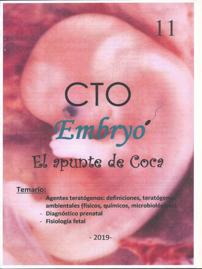 Embriologia CTO 11 | PDF