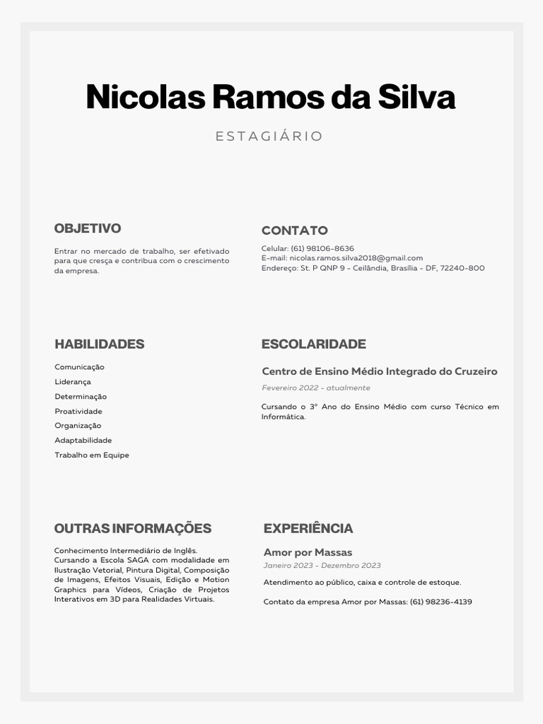 Currículo Nicolas_20240918_174649_0000 | PDF