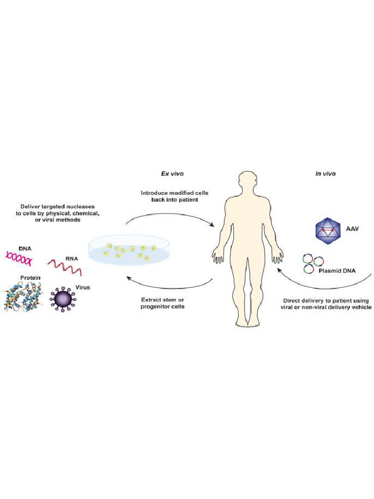 10928_2023_9889_Fig1_HTML | PDF