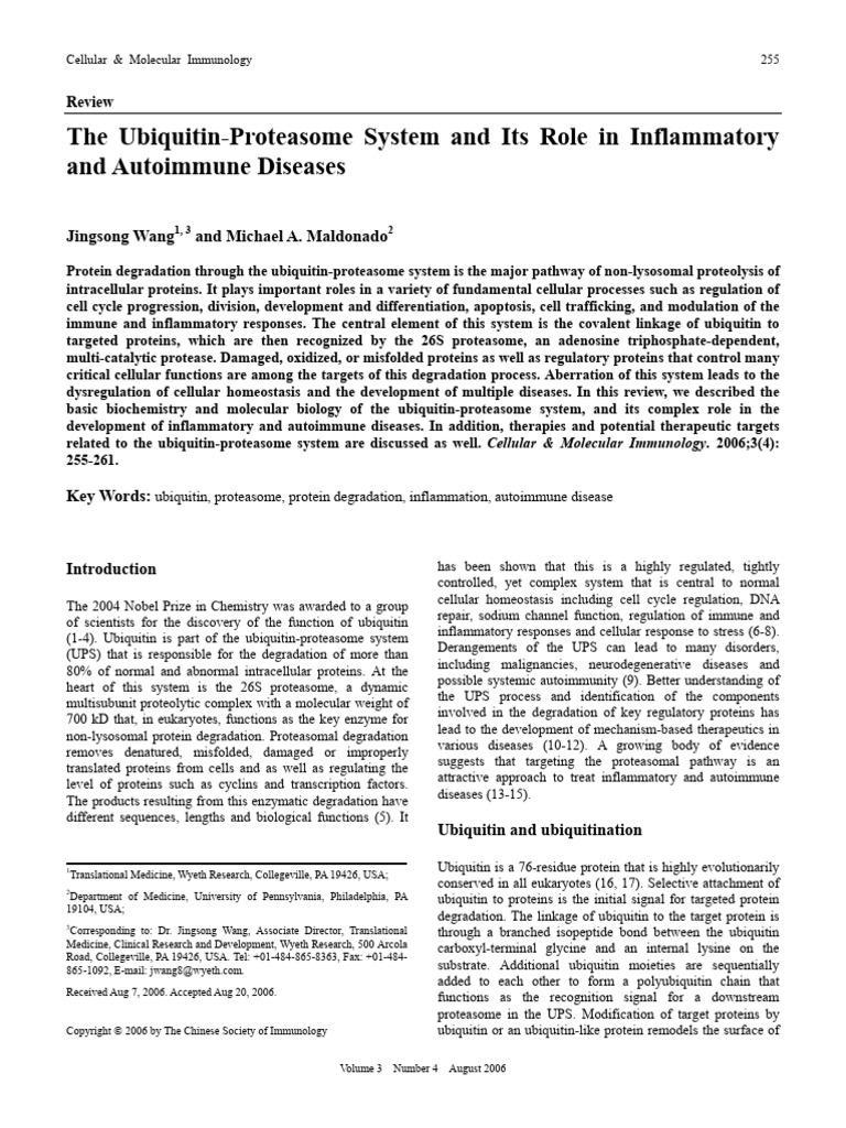 The Ubiquitin-Proteasome System and Its Role in Inflammatory and Autoimmune Diseases | PDF ...