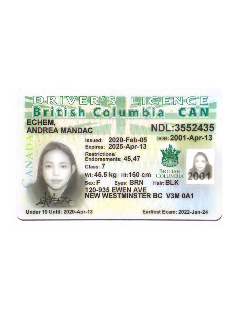 Drivers License | PDF