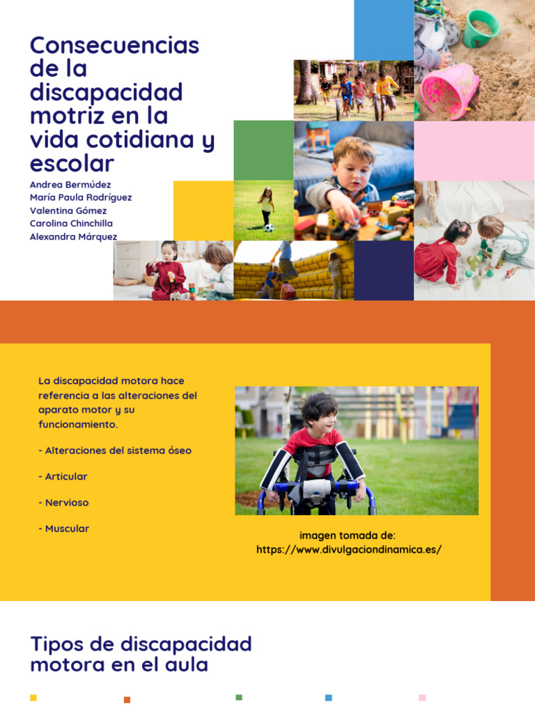 Consecuencias de La Discapacidad Motriz en La Vida Cotidiana y Escolar ...