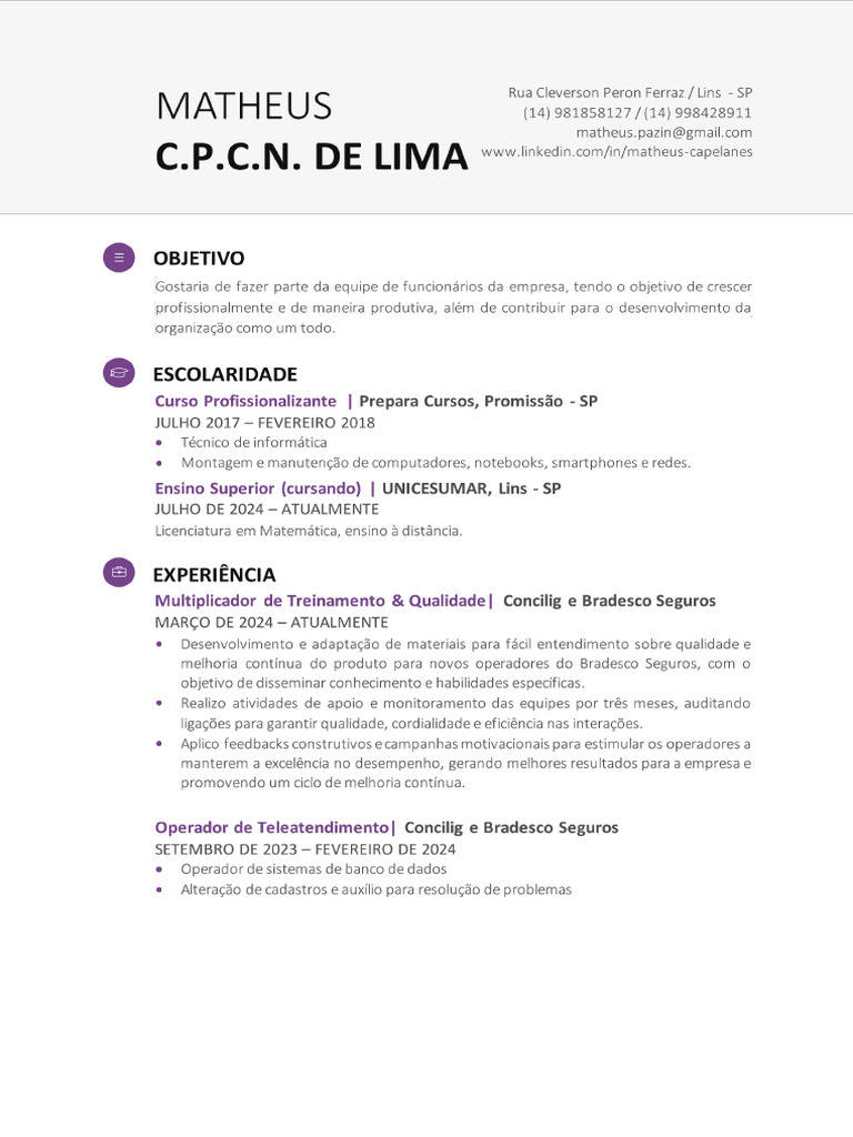 CV Matheus Lins.pdf | PDF