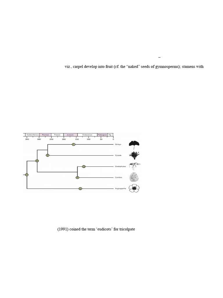 Evolutionary History of Flowering Plants Foster 2016 | PDF | Flowers ...